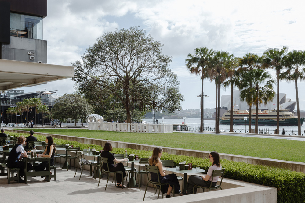 Eat and drink | MCA Australia