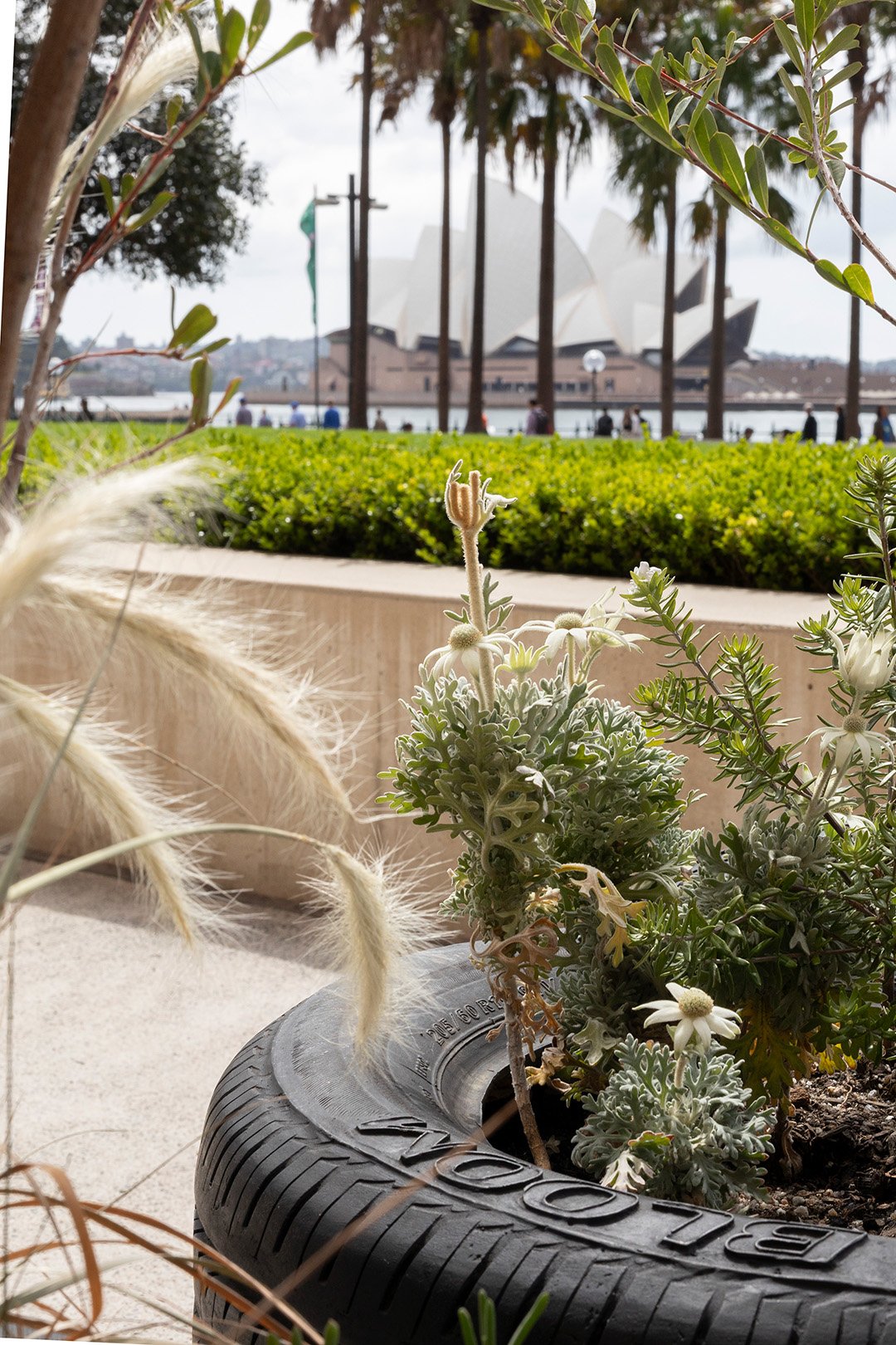 Steve Carr, In Bloom (IndigiGrow), 2023 for Loti Smorgon Sculpture ...