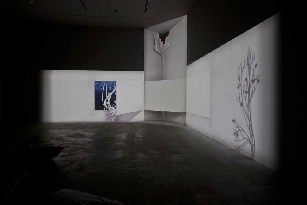 Tabaimo: MEKURUMEKU | Exhibitions | MCA Australia