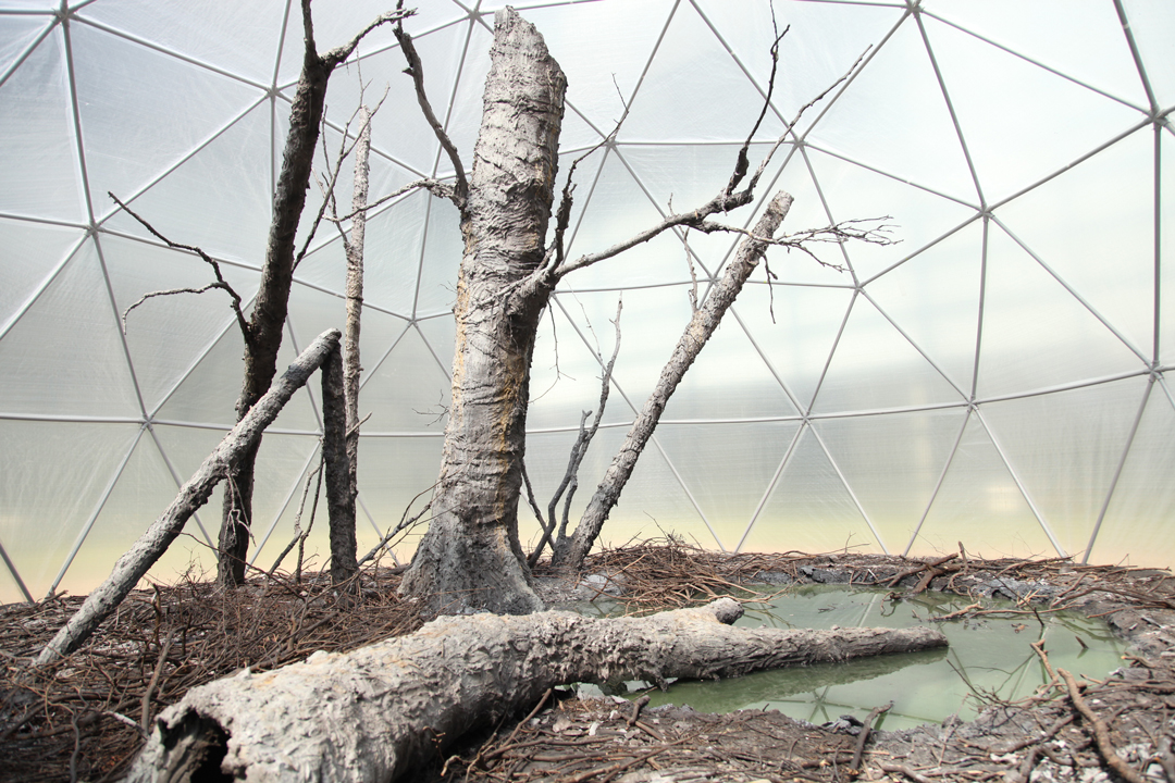 Hayden FOWLER: New Romance | MCA Australia