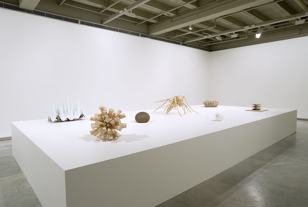 James Angus | Exhibitions | MCA Australia