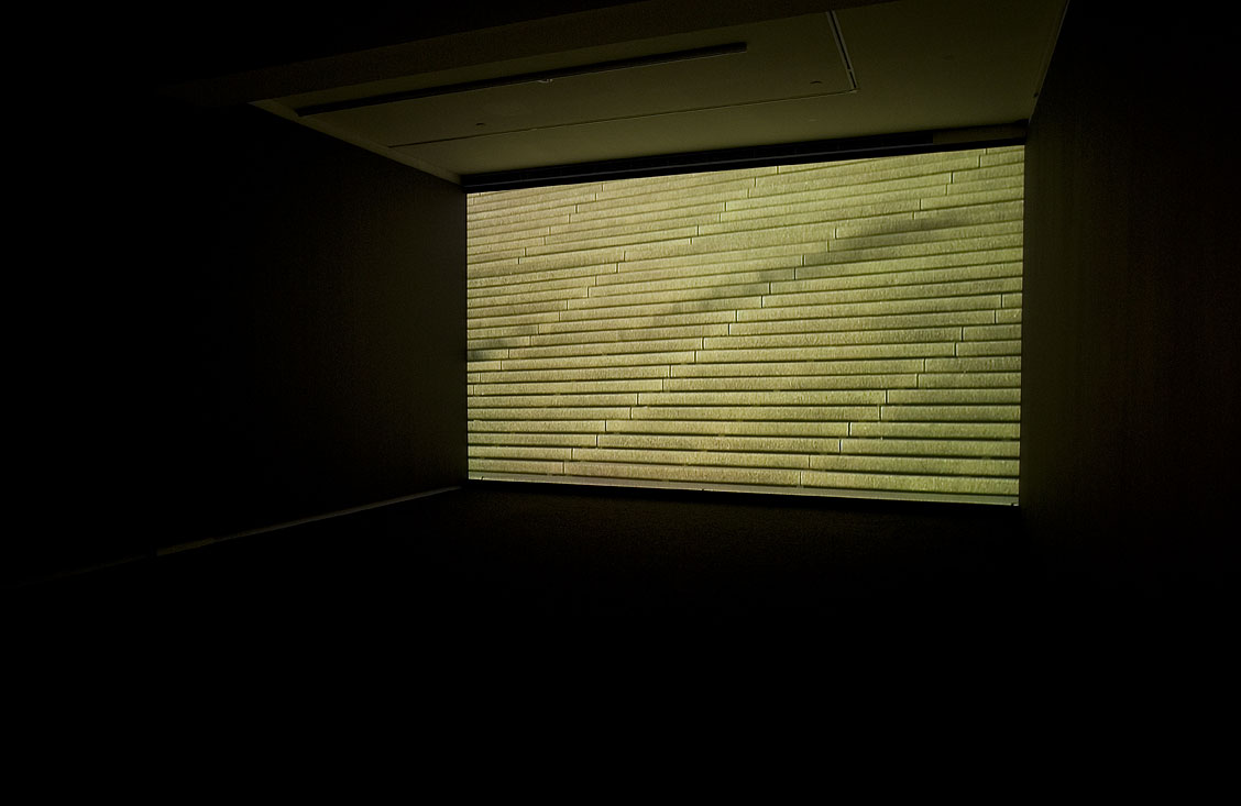 Primavera 2007: Young Australian Artists | Exhibitions | MCA Australia