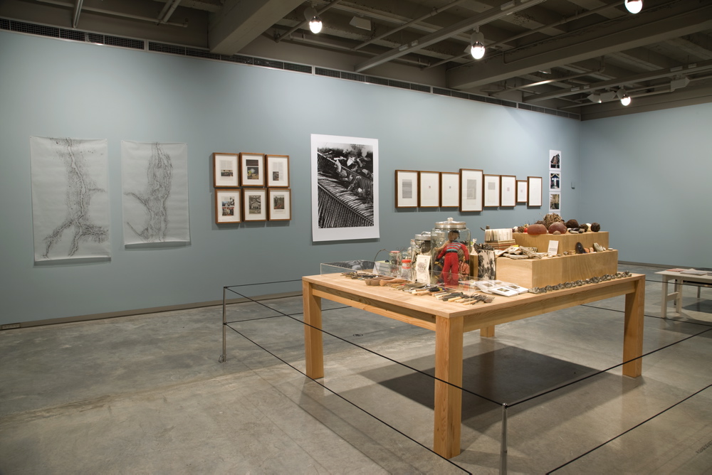 Simryn Gill: Gathering | Exhibitions | MCA Australia