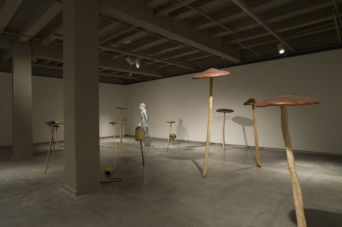 Stephen Birch: looking out my back door | Exhibitions | MCA Australia