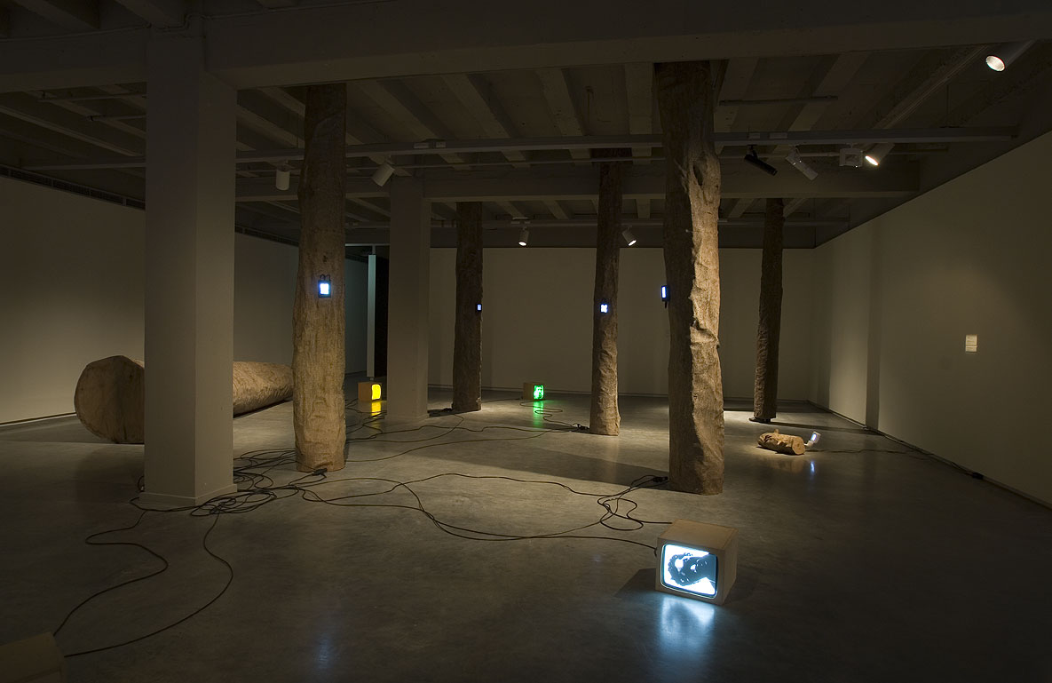 Stephen Birch: looking out my back door | Exhibitions | MCA Australia