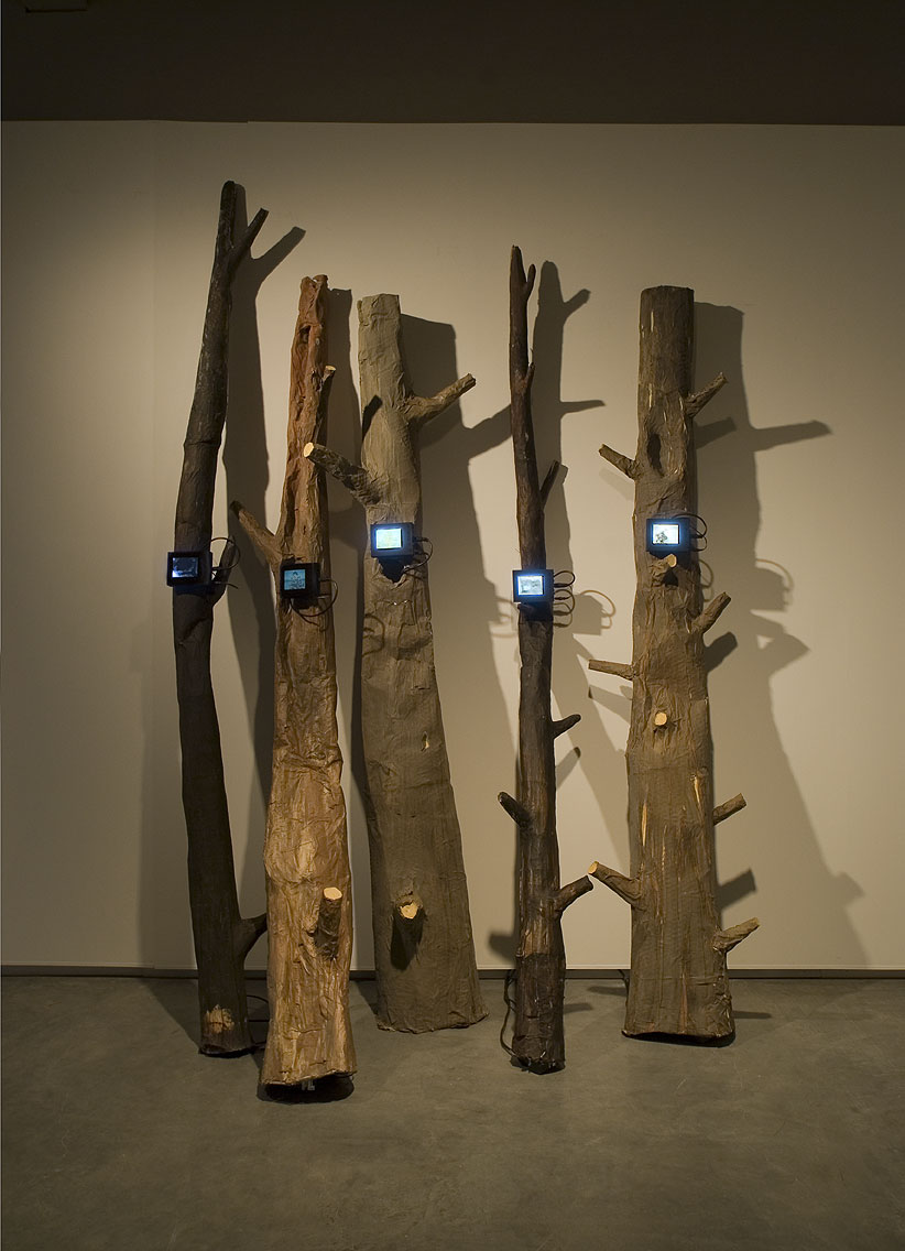 Stephen Birch: looking out my back door | Exhibitions | MCA Australia