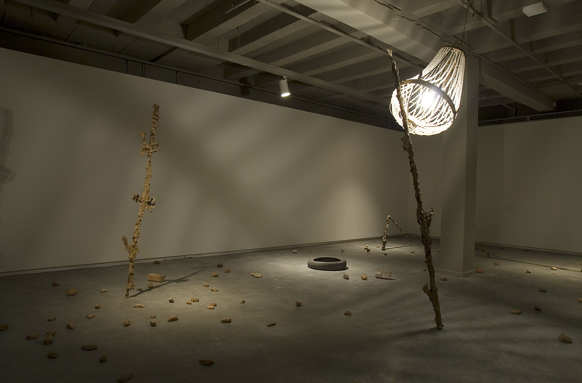 Stephen Birch: looking out my back door | Exhibitions | MCA Australia