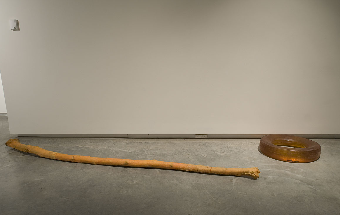 Stephen Birch: looking out my back door | Exhibitions | MCA Australia