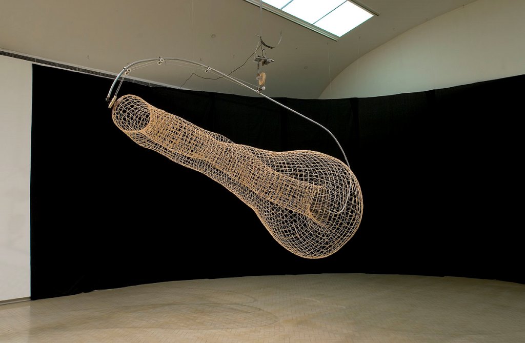 Tim Hawkinson: Mapping the Marvellous | Exhibitions | MCA Australia