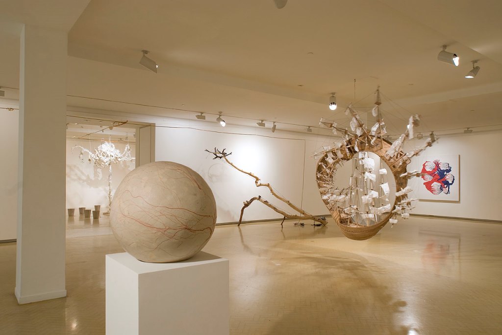 Tim Hawkinson: Mapping the Marvellous | Exhibitions | MCA Australia