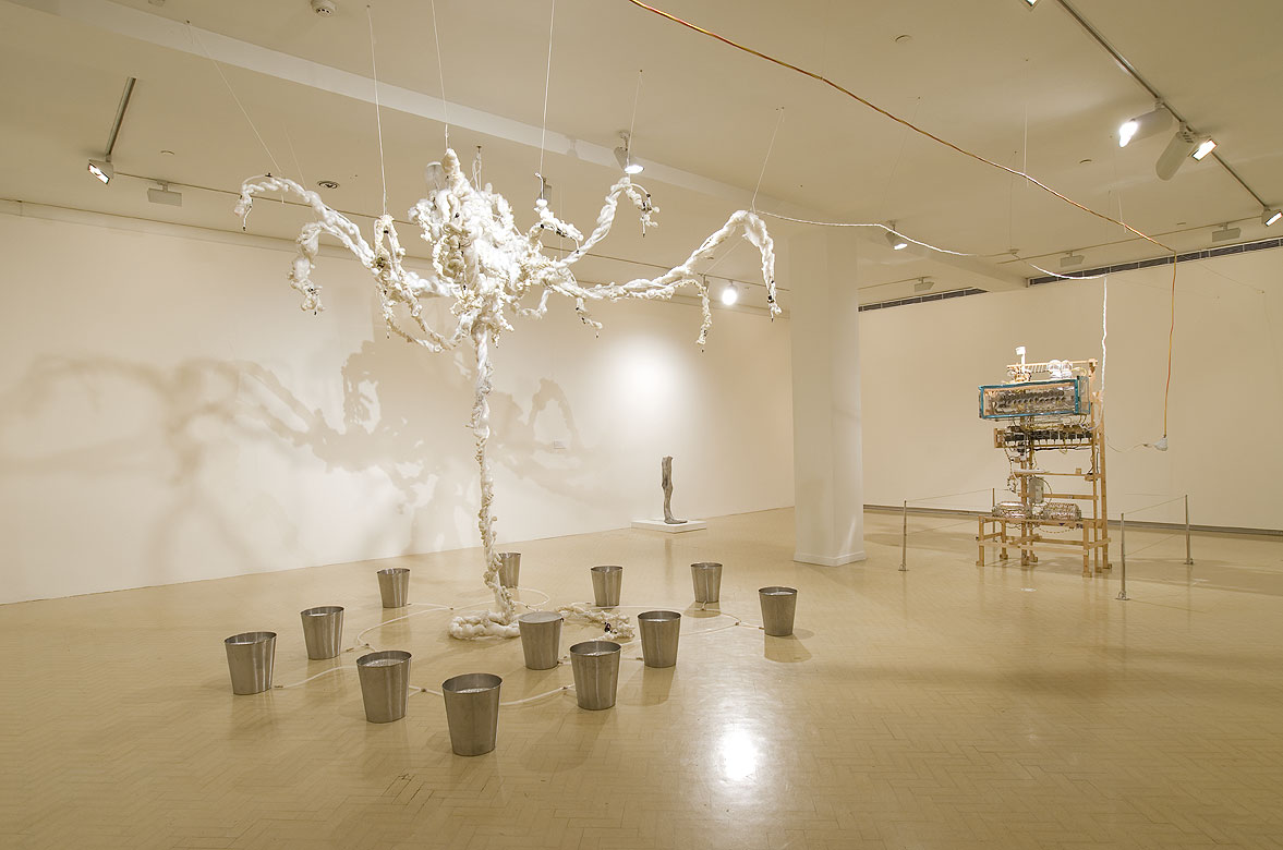 Tim Hawkinson: Mapping the Marvellous | Exhibitions | MCA Australia