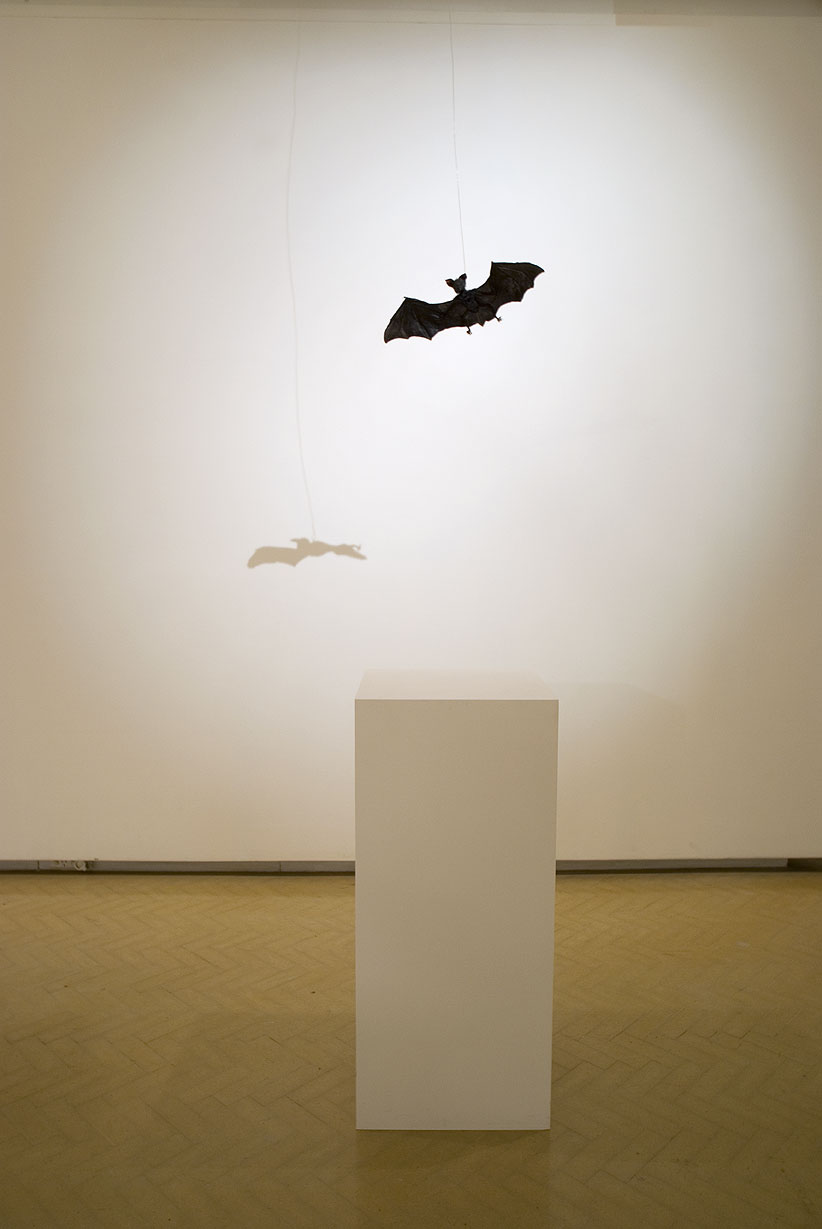 Tim Hawkinson: Mapping the Marvellous | Exhibitions | MCA Australia